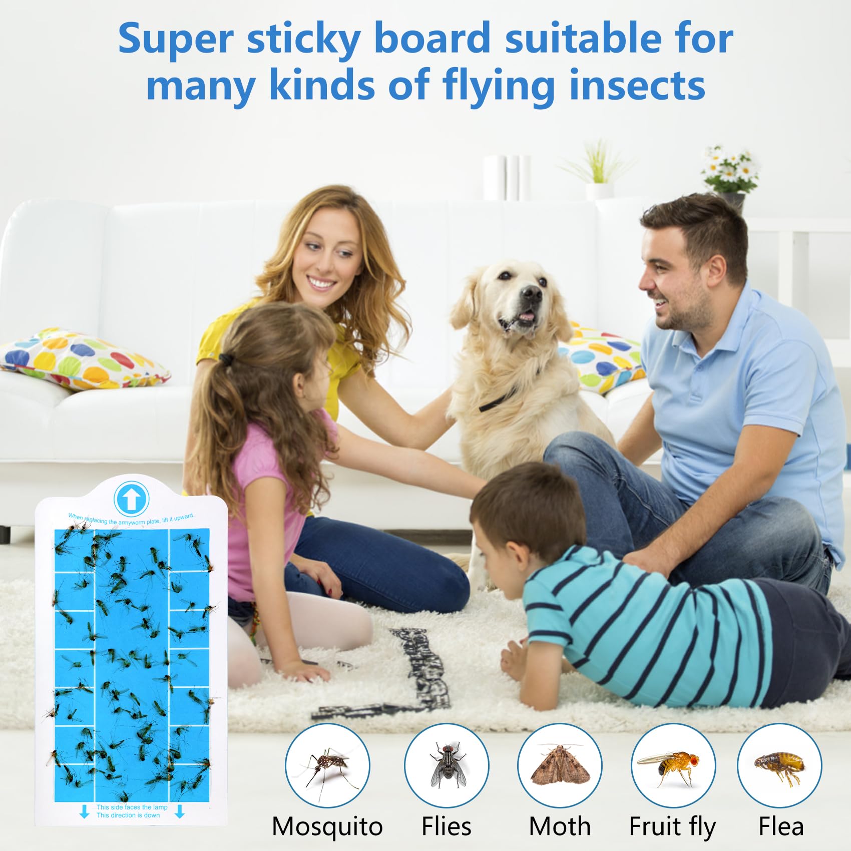 24 Pack Flying Insect Trap Refill Kit, Replacement Sticky Glue Cards Mosquito Plug-in Fly Traps Indoor, Safe Flying Insect Catcher Featuring Light Attraction for Moth, Gnats and Flies