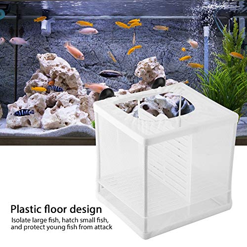 Fish Breeding Incubator, Fish Tank Breeder Net Multifunctional Durable Isolation Mesh Box Fish Breeding Net Aquarium Fish Tank Incubator Breeder with Suction Cup for Fish Tank Breeder Box