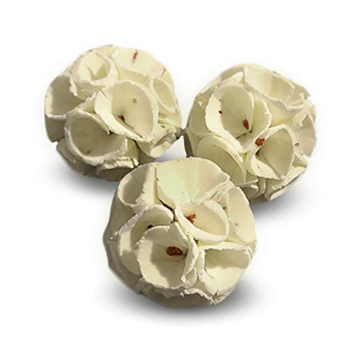 Meric Parrot Crepe Sola Ball, Shredding Joy for African Greys, Conures, and Macaws, Lowers Stress in Birds and People, Irresistible Cork Texture, End Excessive Plucking, 3 Balls per Pack
