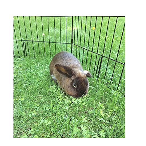 Bunny Rabbit Pen Exercise Indoor 41-Inch with Door House Pet Dog 8 Panel Gate Yard Enclosure X Pen Xpen Fence Playpen & by OISTRIA