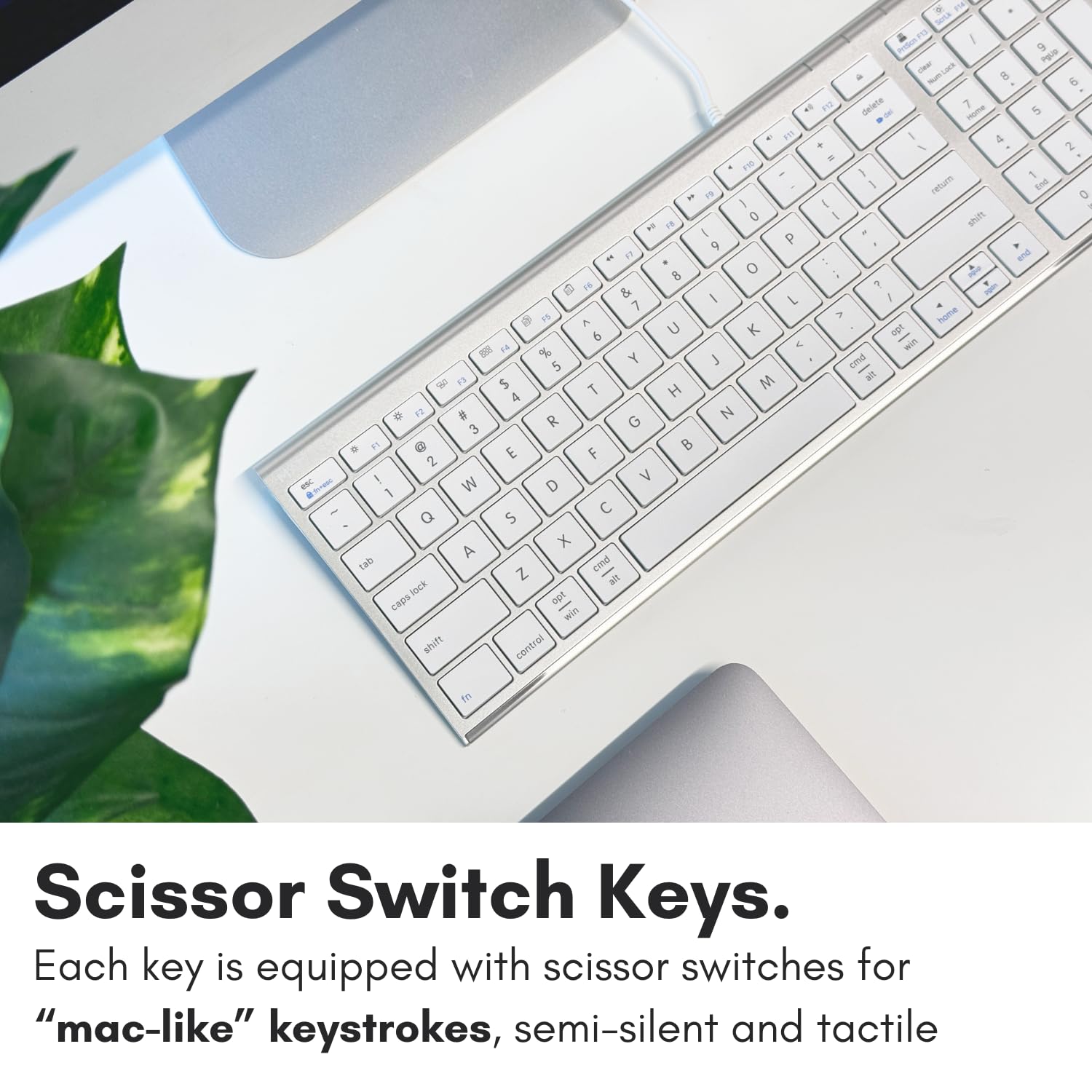 Macally Wired Keyboard for Mac, Compatible Apple Keyboard - Slim, Space-Saving Design USB Keyboard with Numeric Keypad - Budget-Friendly Laptop, MacBook Pro/Air, iMac Keyboard Replacement