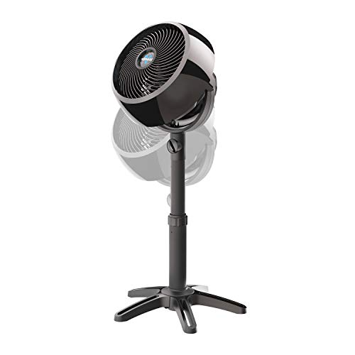 Vornado 7803 Large Pedestal Whole Room Air Circulator Fan with Adjustable Height, 3 Speed Settings, Removable Grill for Cleaning, Black & 133 Compact Air Circulator Fan
