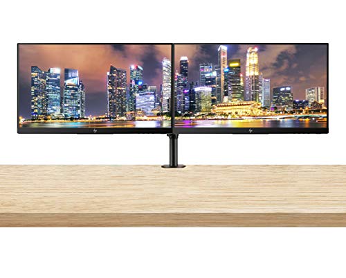 HP Z22n G2 22 Inch IPS LED FHD Backlit Monitor 2-Pack Bundle with Fully Adjustable Desk Mount Monitor Stand