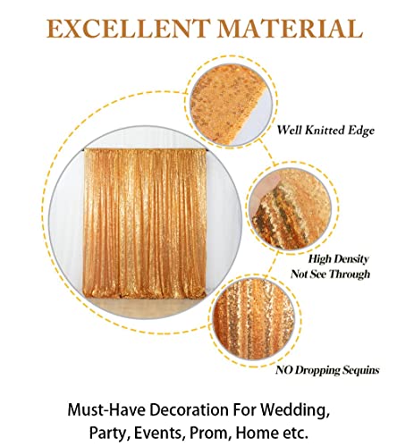 4FTx7FT-Gold-Sequin Backdrop Fabric Curtain Photo Backdrop Sequins Elegant Backdrops 4x7