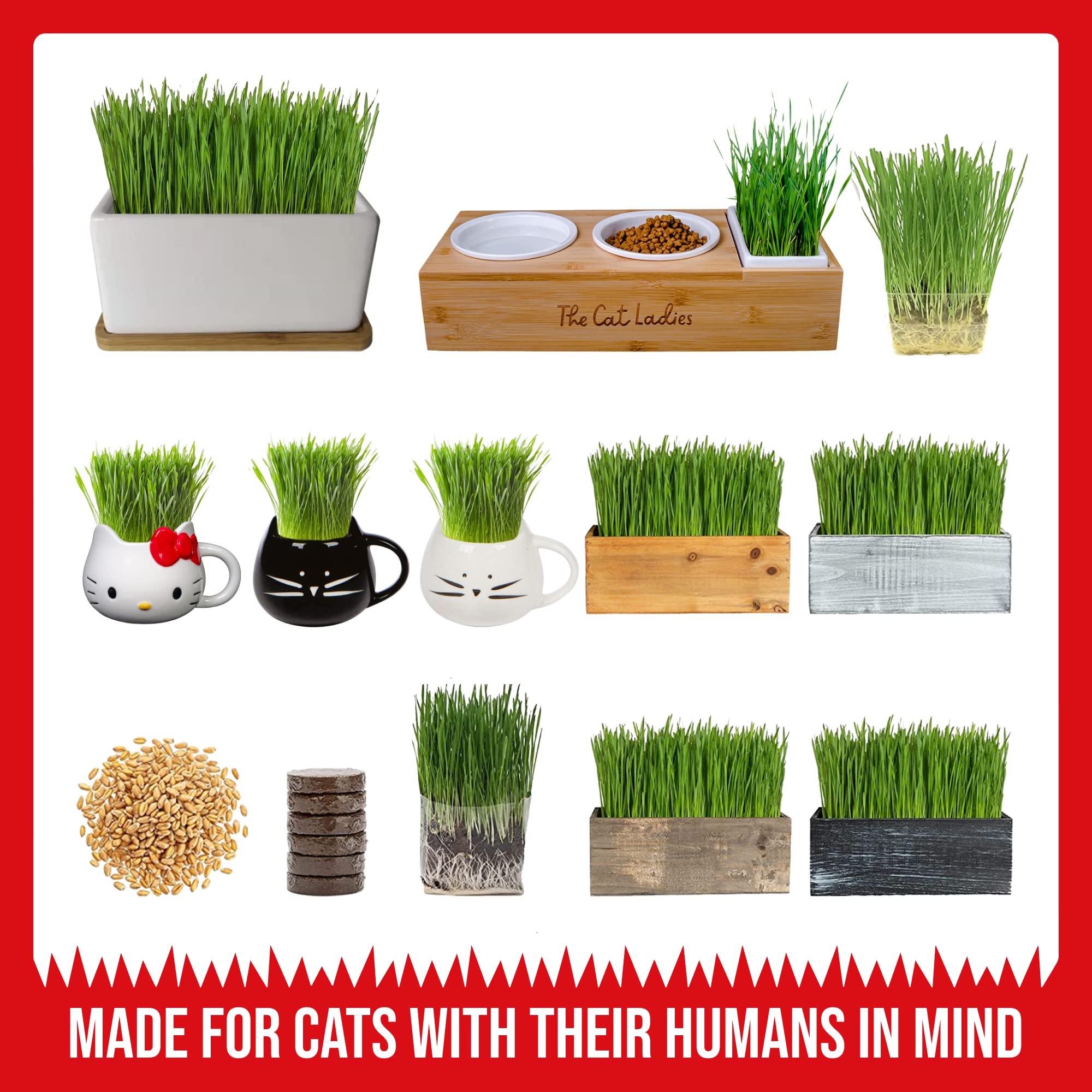 The Cat Ladies Hello Kitty Organic Cat Grass Growing kit with Organic Seed Mix, Soil and Hello Kitty Planter. Natural Hairball Control and Digestive Remedy,Cat Gifts