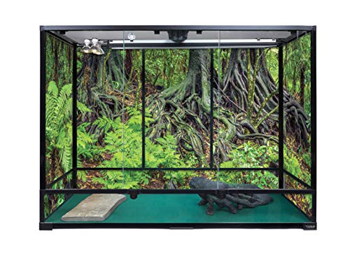 Carolina Custom Cages Terrarium, Extra-Tall Extra-Long 48Lx18Dx36H, Easy Assembly