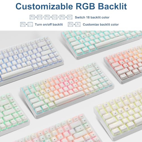 HUO JI Wireless Mechanical Gaming Keyboard, Programmable RGB Backlit, Bluetooth 5.0, Red Switches, 84 Keys, Wired 60% Keyboard for iPad, iMac Android/Windows Tablet Laptop Desktop, White