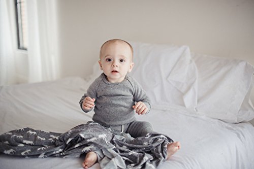 Copper Pearl Large Premium Knit Baby Swaddle Receiving Blanket Grey and White Moose Scout