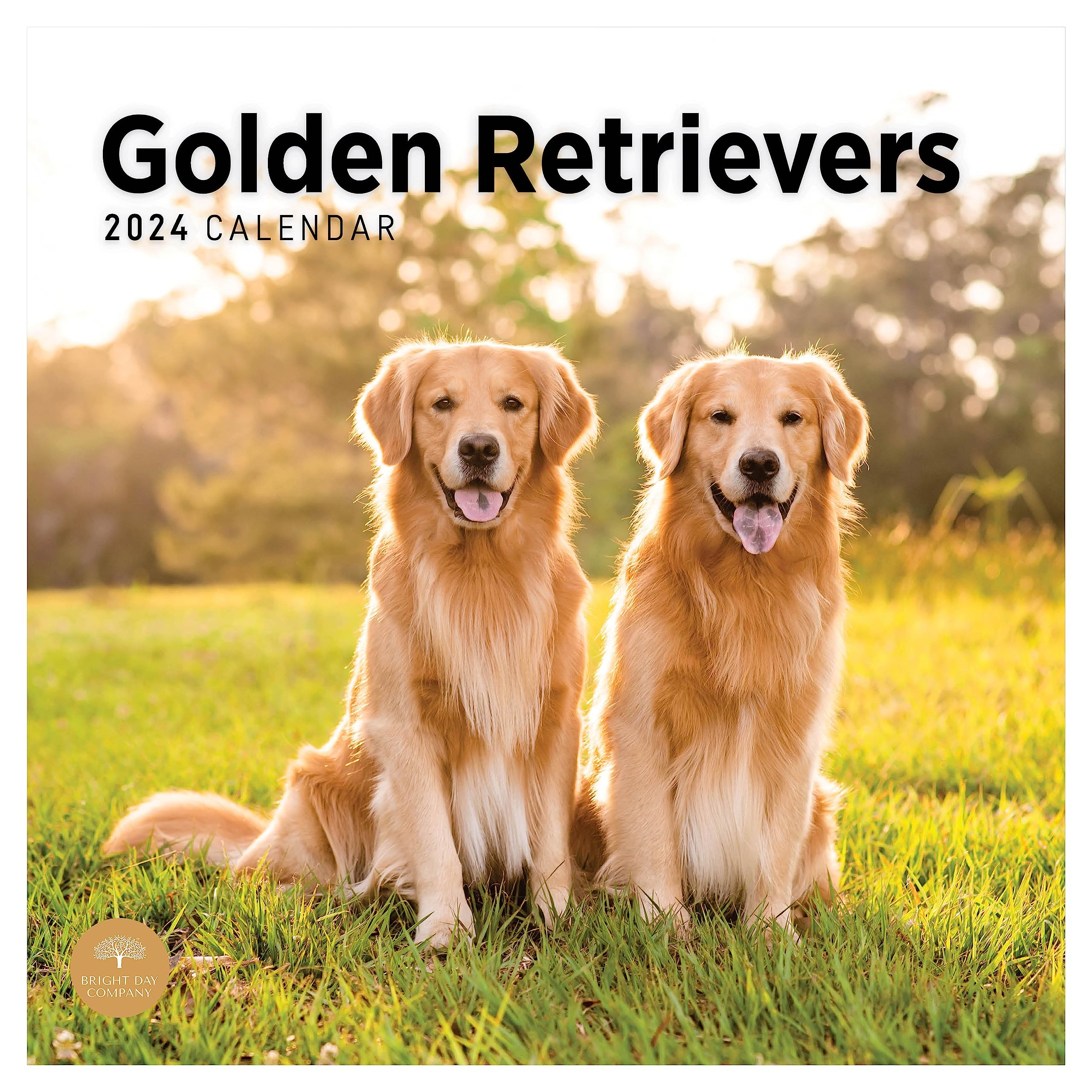 2024 Golden Retrievers Monthly Wall Calendar by Bright Day, 12 x 12 Inch Cute Dog Breed Gift
