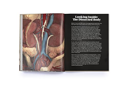 Anatomica: The Exquisite and Unsettling Art of Human Anatomy