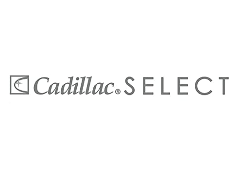 Cadillac Select Leather Furniture Cleaner and Conditioner for Couch, Car Auto Interior Seats, Bags, Jackets, Large Leather Surfaces β Complete Care Spray