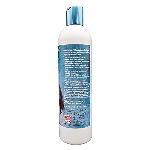 Bio-Groom Groom 'N Fresh Dog and Cat Conditioning Shampoo, 12-Ounce