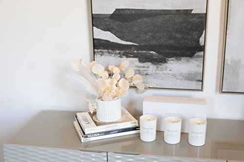 Aroma360 - Dream On - Paris Collection Candle Trio - Luxury Scented Candles with Essential Oils - White Tea, Sweet Vanilla & Earthy Cedar - Aromatherapy - Soy Candles - 80hr Burn - 11 oz - Set of 3