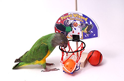 Birdie Basketball - Adjustable Height Parrot Basketball Trick Prop