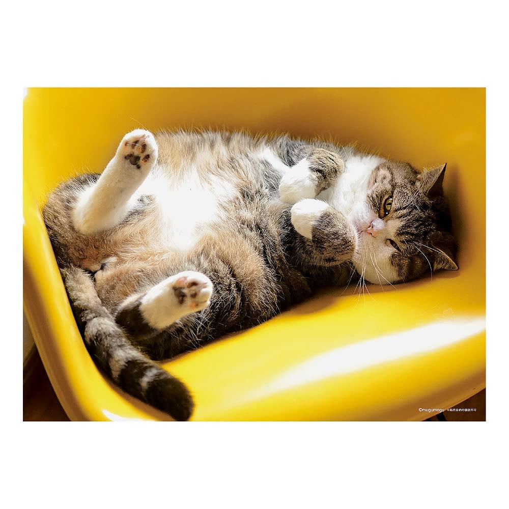 2023 Maru-chan Calendar (Tabletop) [Video Included] 1000123669, White