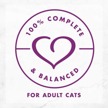 Fancy Feast 12-Pack Cans Savory Centers Beef Canned Cat Food,12-3 OZ CANS