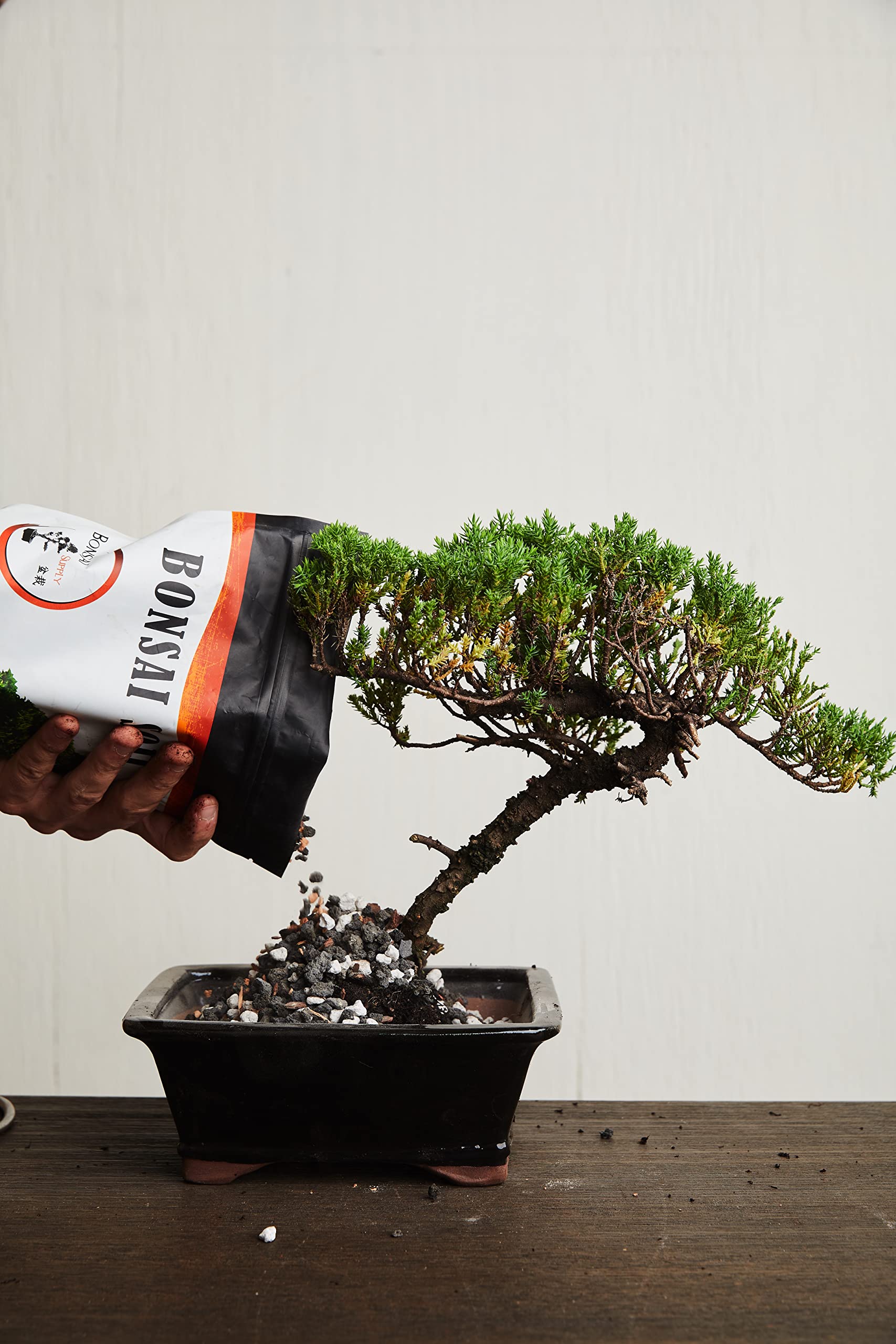 Bonsai Soil All Purpose Mix | Fast Draining Pre Blend Plant | Pumice, Lava, Calcined Clay and Pine Bark β Potting Pre Mixed Bonsai Plant Soil Mixture by The Bonsai Supply (2 Quart Bag)