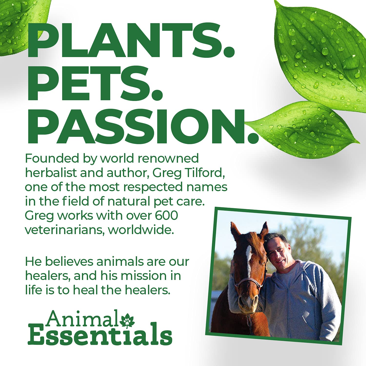 Animal Essentials Milk Thistle Liver Support for Dogs and Cats, 30 Capsules - Made in USA Liver Supplement