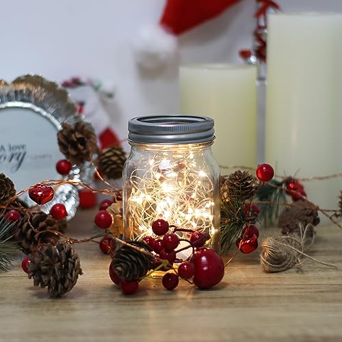 6 Pack Mason Jars 16 oz with Regular Mouth Airtight Lids, Glass Canning Jars, Pint Jars for Jams, Overnight Oats, Candies, Honeys, Snacks, Food Storage, Canned Foods, DIY Projects