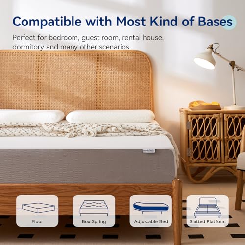 Amazon Basics HKSP01008F Plush Memory Foam Bed Mattress, Full, White/Grey, 75 x 54 x 8 inches