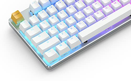 Glorious Custom Gaming Keyboard - GMMK 85% Percent TKL - USB C Wired Mechanical Keyboard - RGB Hot Swappable Switches & Keycaps - Silver/White Metal Top Plate