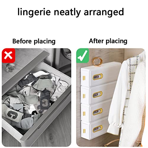 ACGrade Underwear Organizer,Wardrobe Wall Mounted Sock and Underwear Organizer,Closet Organizers,Underwear Organizer for Women(4pcs),38*8*12cm