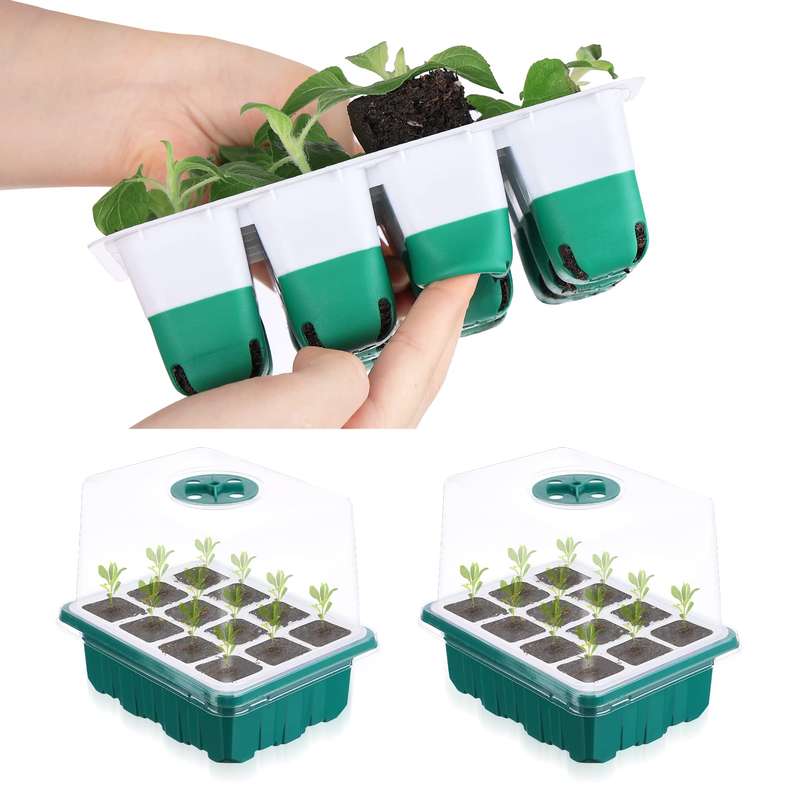 2 Packs Reusable Seed Starter Tray Kit with Humidity Dome, 12 Cell Seed Starting Tray(24 Cell Total Tray) for Starting Vegetable Seeds, Flower Seeds, Herb Seeds, Indoor Grow Kit for Plant Seedlings