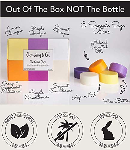 Cleansing & Co Natural Shampoo Bar and Conditioner Bar 6 Piece Sampler - Eco-Friendly, Zero Waste, 100% Compostable, Hand Made Bar Shampoo and Conditioner Bar Set for Hair (3xShampoo & 3x Conditioner)