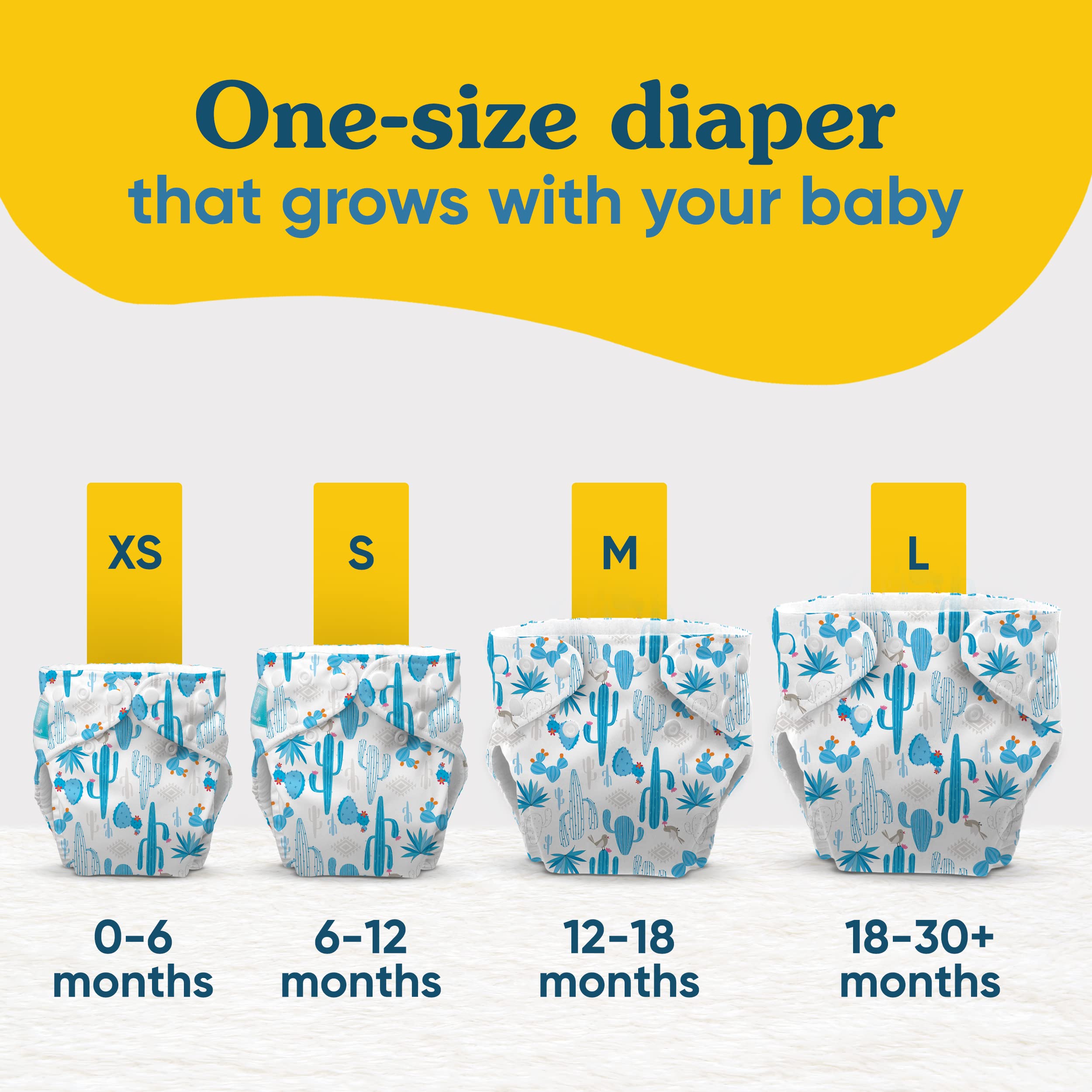 Charlie Banana Baby Washable and Reusable Cloth Diapers, 3 Soft Pocket Diapers and 6 Absorbent Inserts, One-Size, Crush