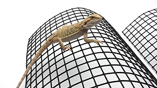Carolina Custom Cages' Bearded Dragon Tanning Arch, Reptile Habitat Accessory