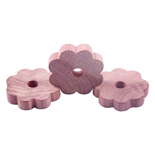 FunSpt 32 Pcs Cedar Blocks Plum Shape with Fragrance Odor 100% Nature Aromatic Red Ceder Planks for Hanger Wardrobes Closets Drawers Freshener Clothes,004