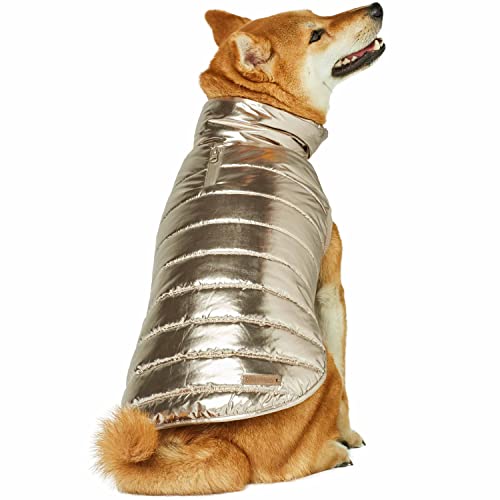 Blueberry Pet 2023 New Cozy & Comfy Windproof Lightweight Quilted Fall Winter Glossy Dog Puffer Jacket in Gold, Back Length 24", Size 22, Warm Coat for Large Dogs