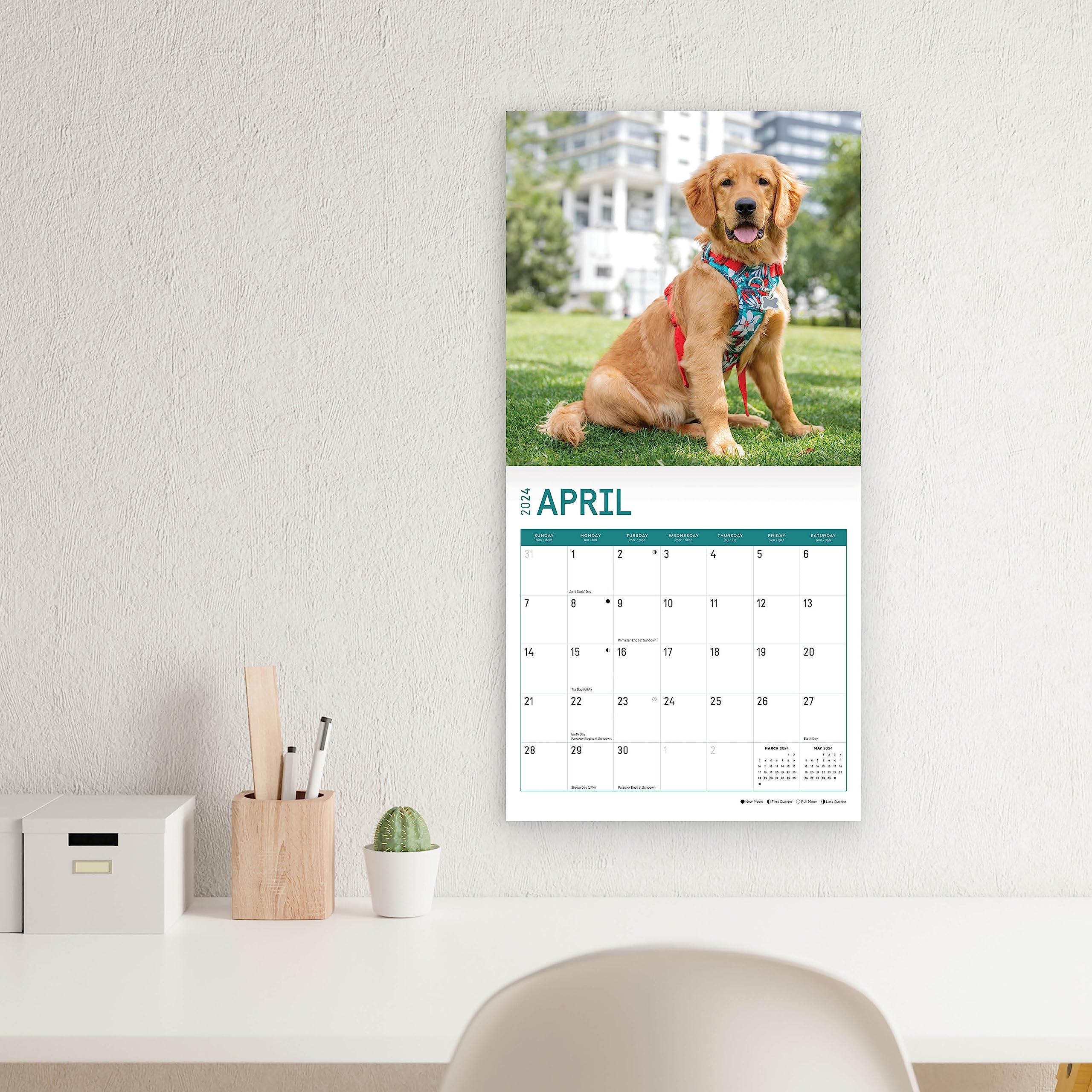 2024 Golden Retrievers Monthly Wall Calendar by Bright Day, 12 x 12 Inch Cute Dog Breed Gift