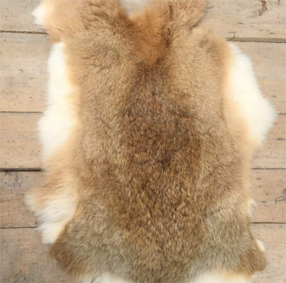 2pcs Natural Tanned Rabbit Fur Hide (10" by 12" Rabbit Pelt with Sewing Quality Leather)