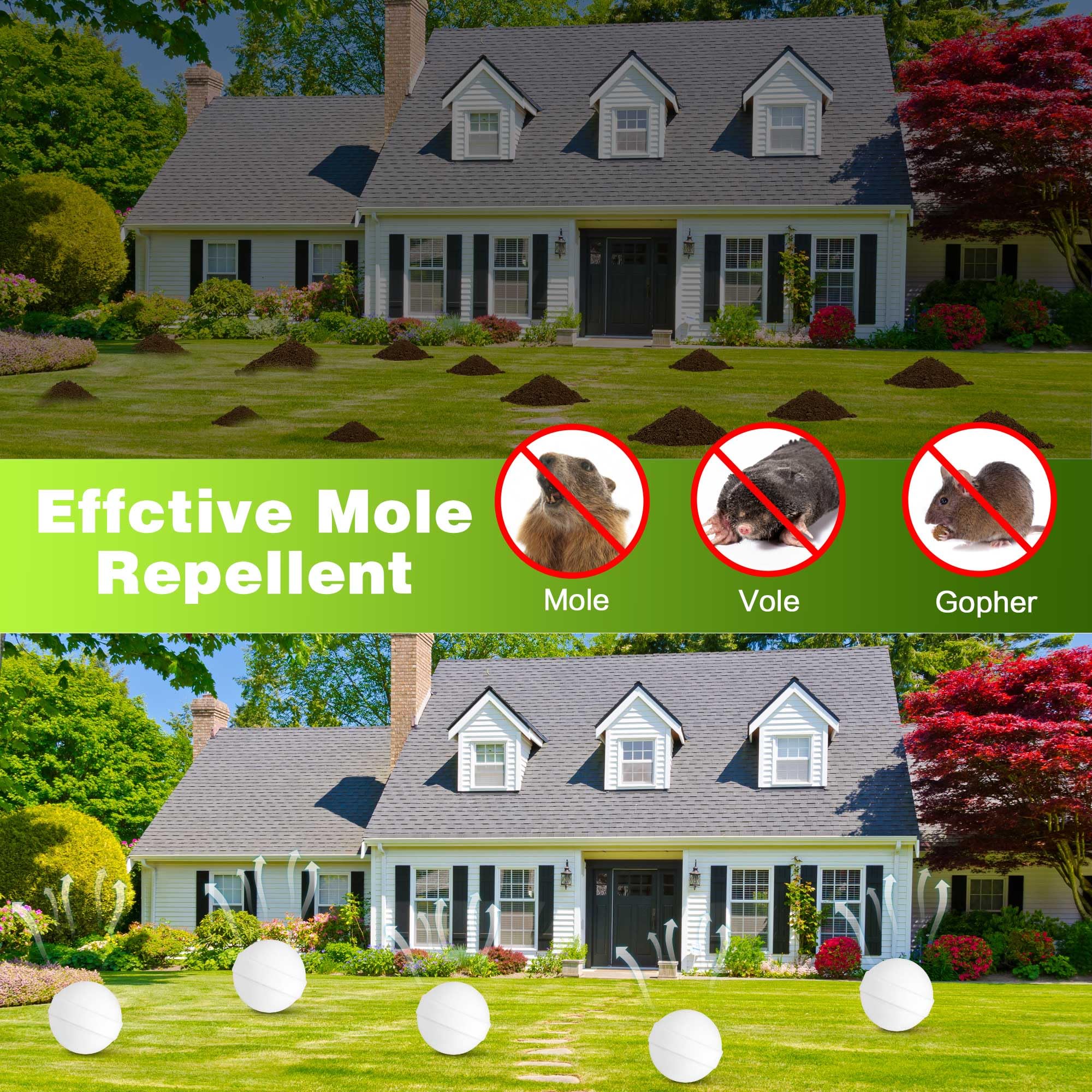 24pack Mole Repellent, Mouse Repellent, Groundhog Repellent, Gopher Repellent, Vole Repellent for Lawn Garden Yard Outdoor, Armadillo Repellent, Mole Deterrent