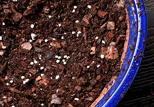 Bonsai Fertilizer Pellets by Perfect Plants - 5 Year Supply - All Natural Slow Release - Extended Enrichment for All Live Bonsai Tree Types