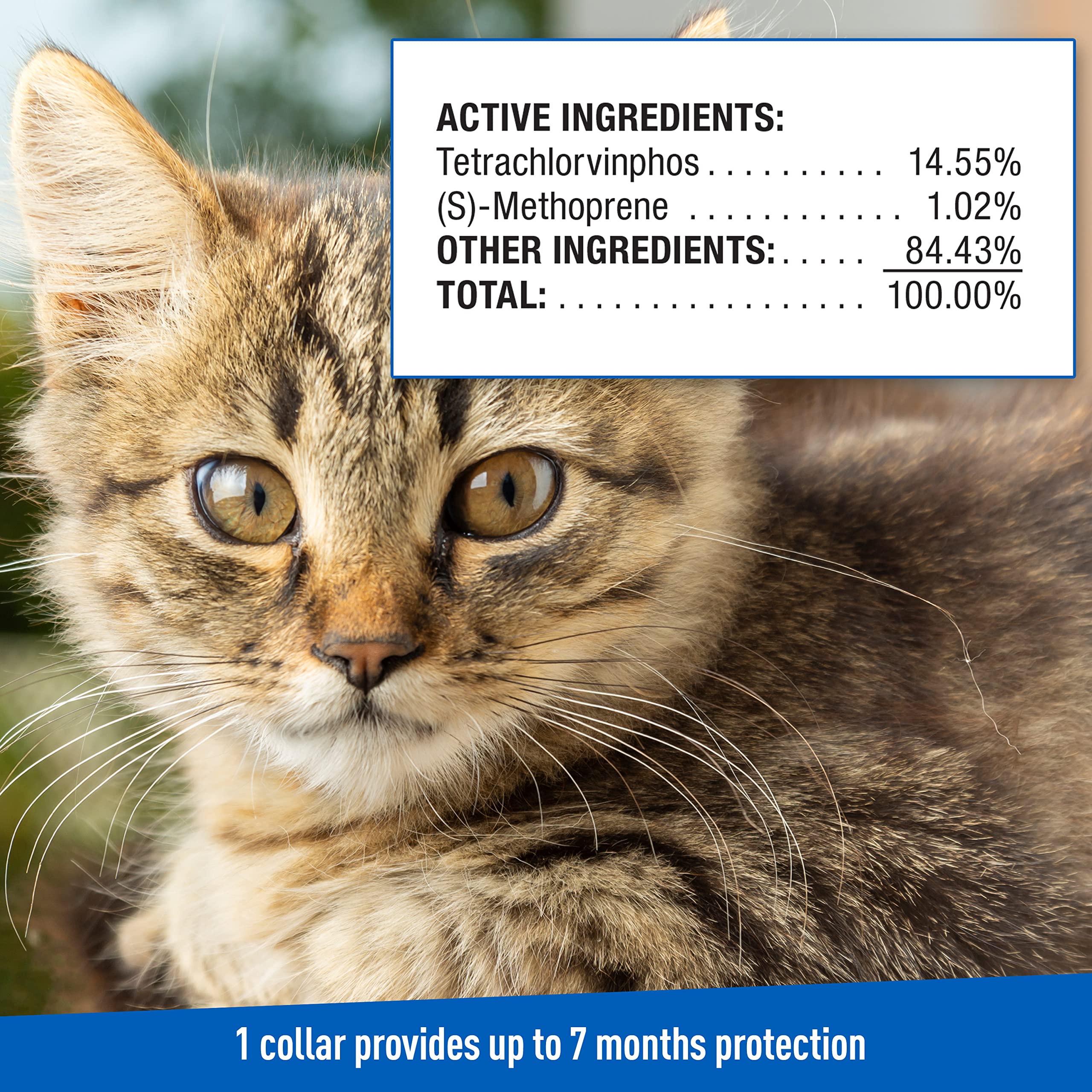 Adams Plus Flea & Tick Collar for Cats | Breakaway Collar | 1 White Collar | 7- Month Protection | Kills & Repels Fleas, Flea Eggs, Flea Larvae and Kills Ticks, Tick Nymphs, and Tick Larvae