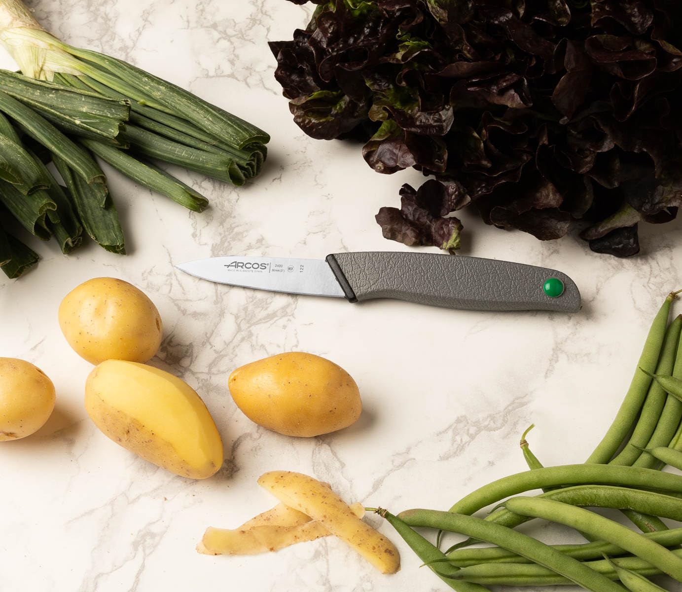 ARCOS Paring Knife 3 Inch Stainless Steel. Professional Kitchen Knife for Cut, Peel and Clean Food. Ergonomic Polyoxymethylene Handle and 80 mm Blade. Series Colour Prof. Color Grey.
