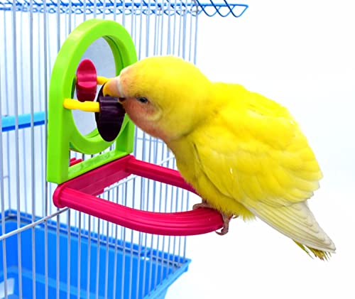 Bird Mirror Toys with Paddle Wheels and Perch for arrot Budgies Parakeet Cockatiels Conure Lovebirds