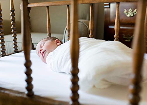 Cotton Organics 100% Organic Jersey Fitted Crib Sheets Soft, Hypoallergenic & Durable Premium Cotton, Natural White for Boys and Girls (White)