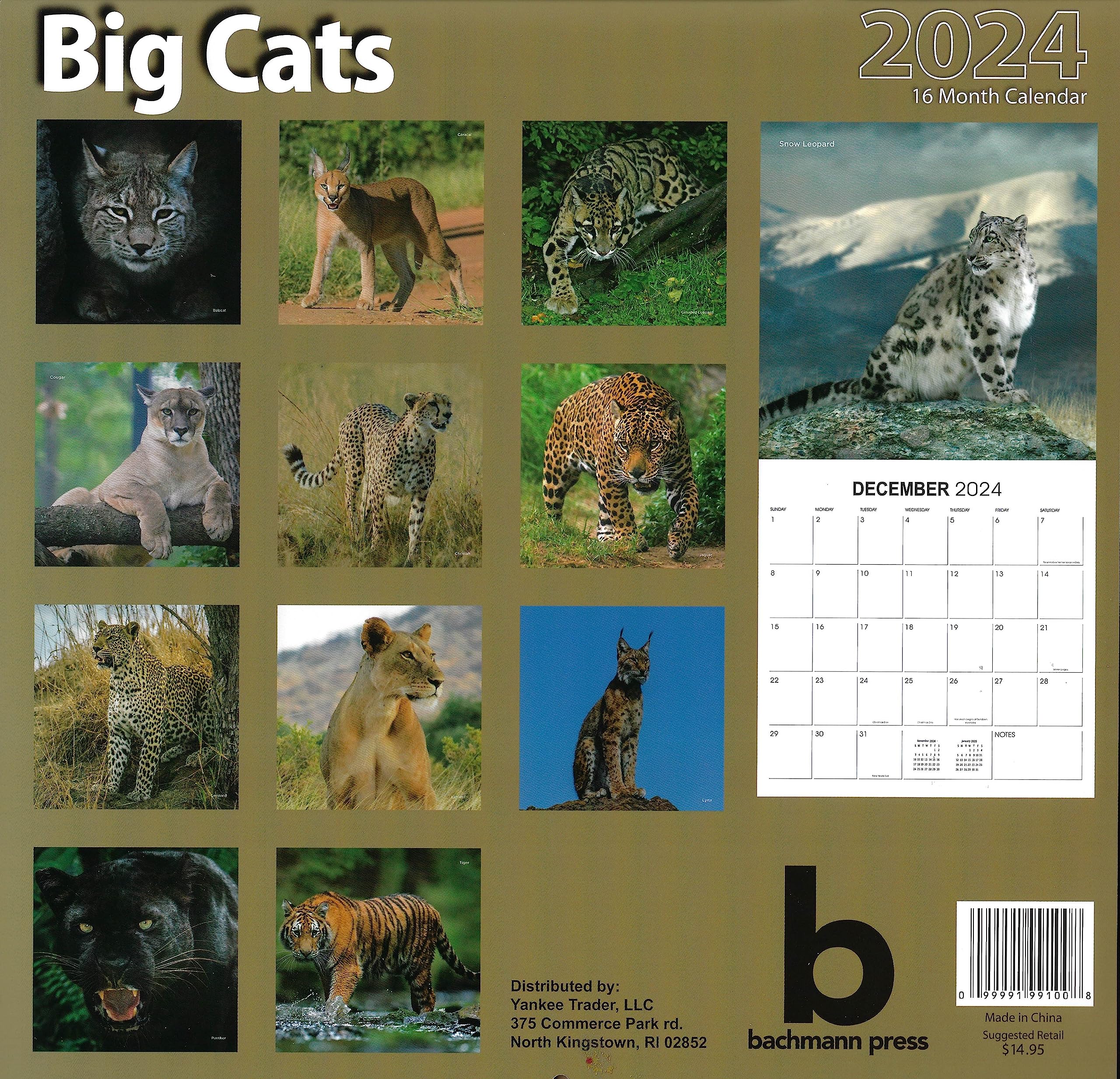 2024 Big Cats Full Size Wall Calendar for Planning, Scheduling, and Organizing