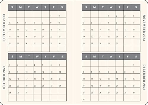 2023 Sea Turtles Weekly Planner (16 months, Sept 2022 to Dec 2023)