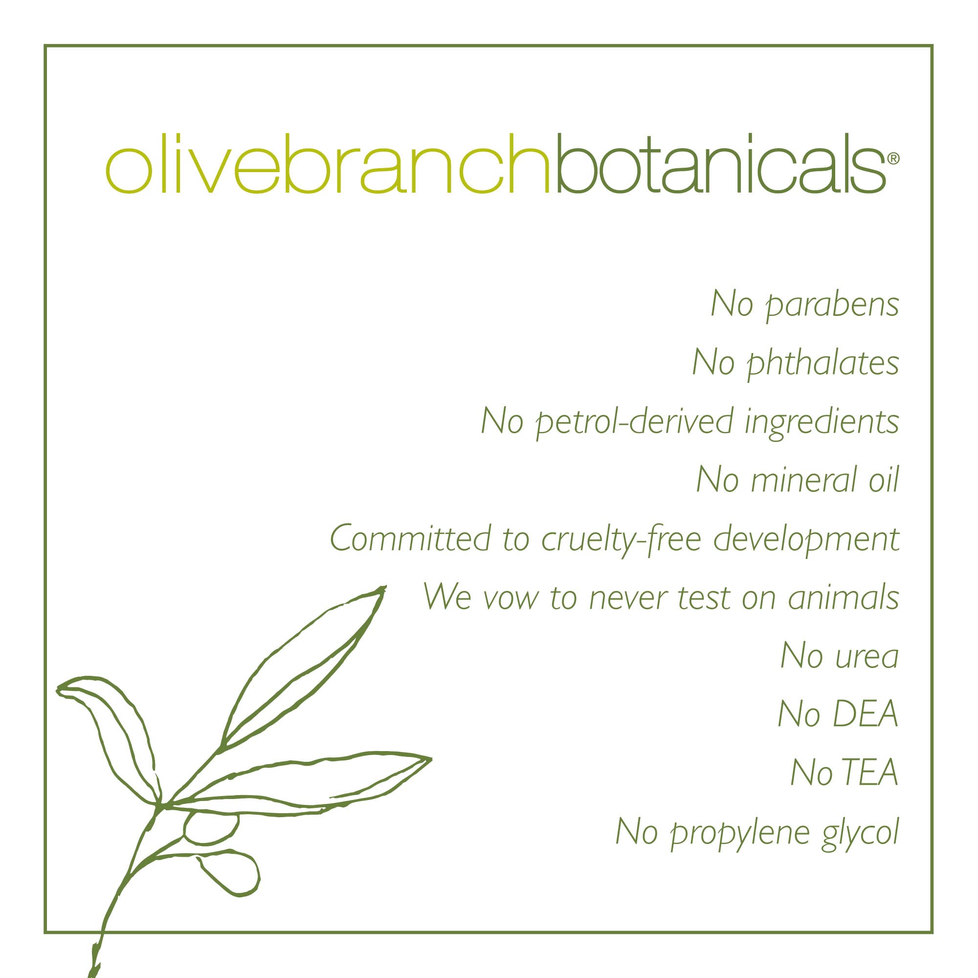 Gilchrist & Soames Olive Branch Shampoo - 12oz - All Hair Types, Zero Parabens, Sulfates, and Phthalates