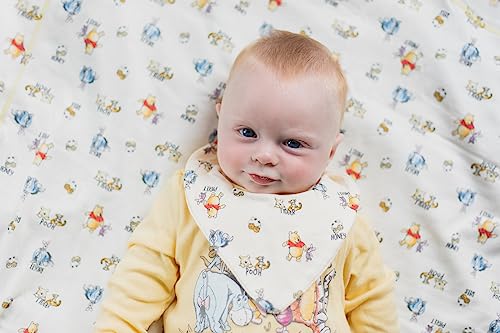 Disney Winnie the Pooh Sleep N' Play Bib Blanket and Burp Cloth 4 Piece Set 0-6 Months