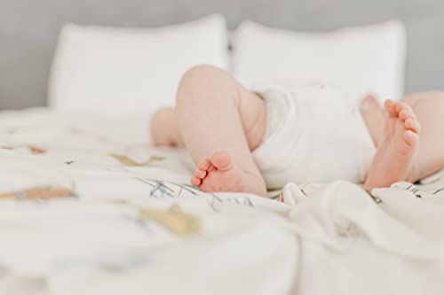 Copper Pearl Large Premium Knit Baby Swaddle Receiving Blanket Ace