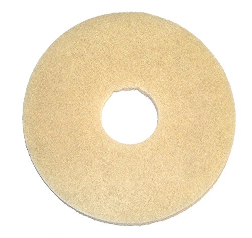 BISSELL BigGreen Commercial 437.058BG Beige Stone Care for BGEM9000 Easy Motion Floor Machine, 12"