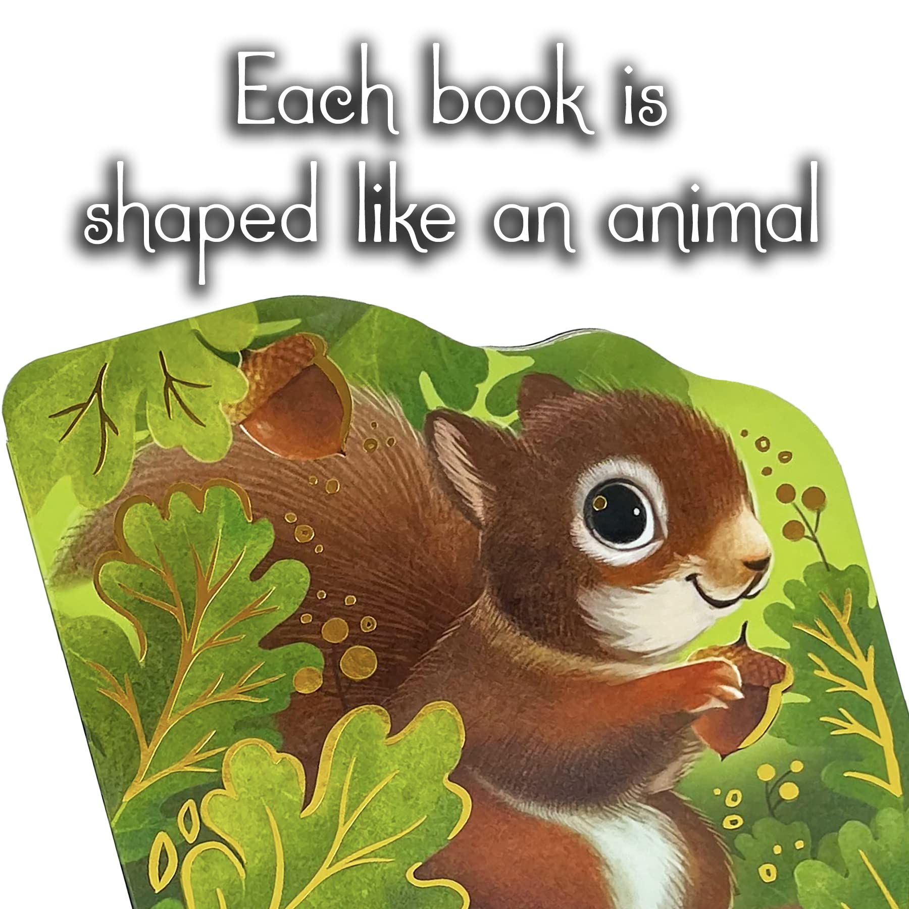 A Little Squirrel - An Animal-Shaped Children's Board Book, Ages 1-5