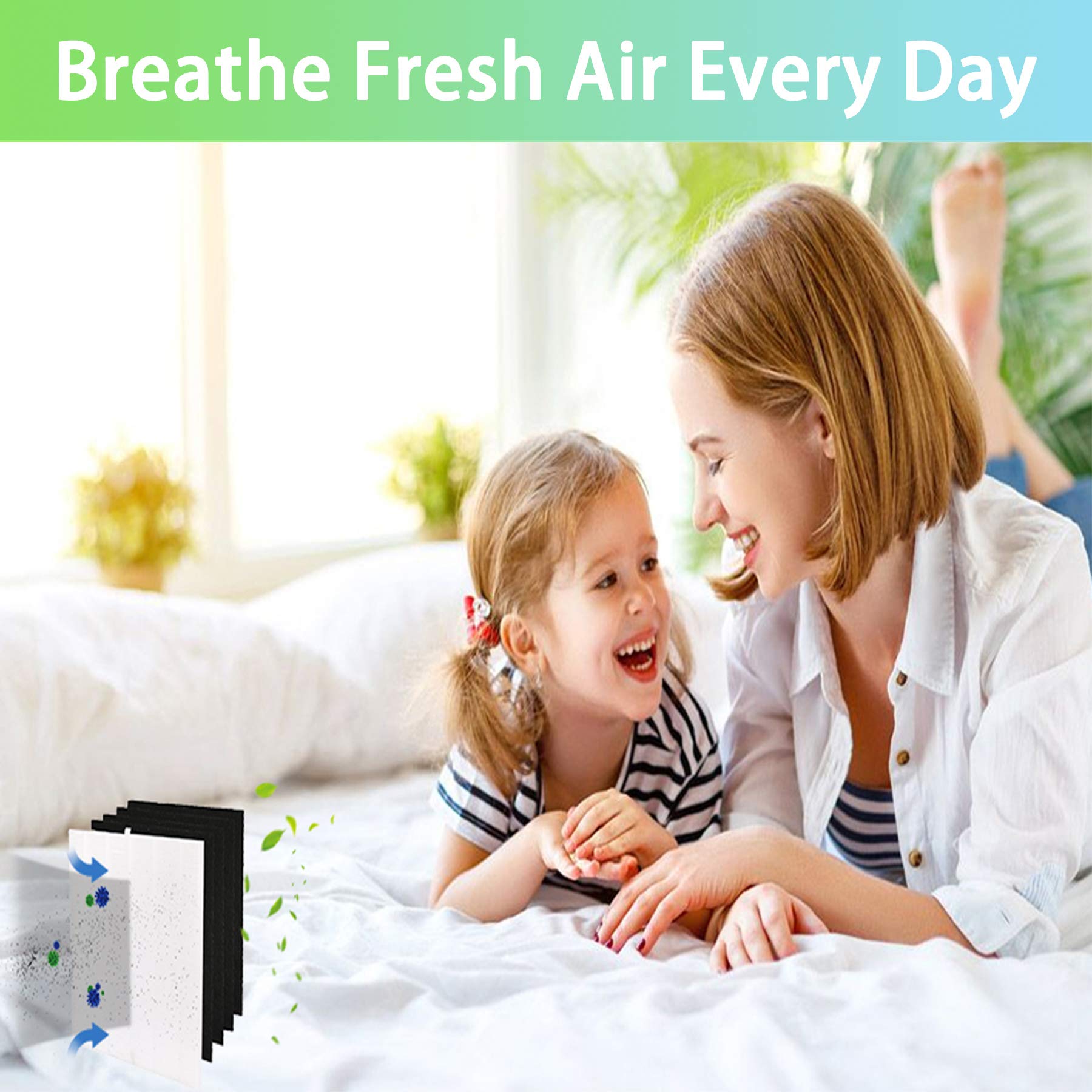 Air Purifier Filter Replacement