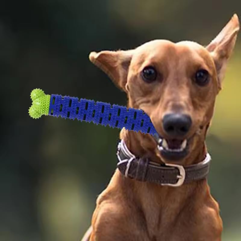 2-in-1 Durable Pet Chew Toy with Squeaker, Non-Toxic Rubber