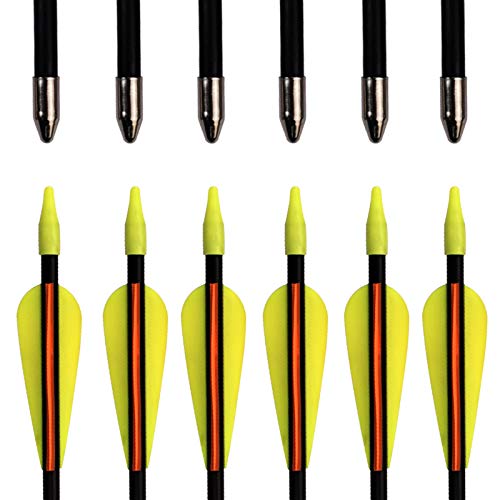 28'' Fiberglass Arrows Archery Target Arrow Practice Shooting Practice Target for Professional Youth Archery Recurve Bow Shooter(Pack of 12)